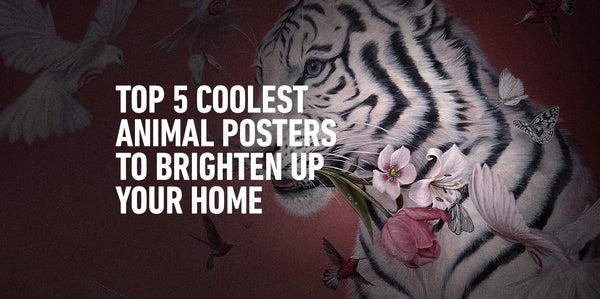 Top 5 Coolest Animal Posters to Brighten Up Your Home – Andy okay
