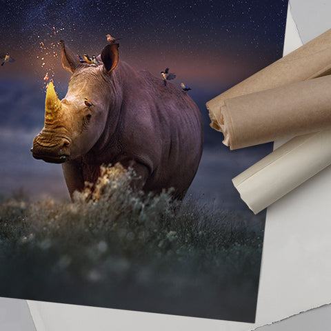 Rhinocorn [Limited Edition] – Surreal Nature Gallery Wall Art by Andy ...